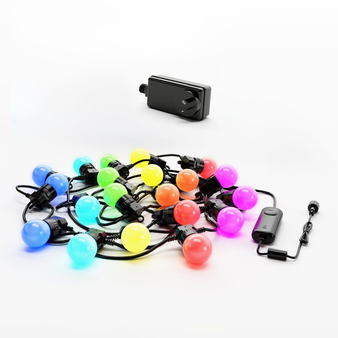 Festoon (Multicolor)