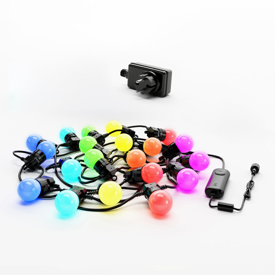 Festoon (Multicolor)