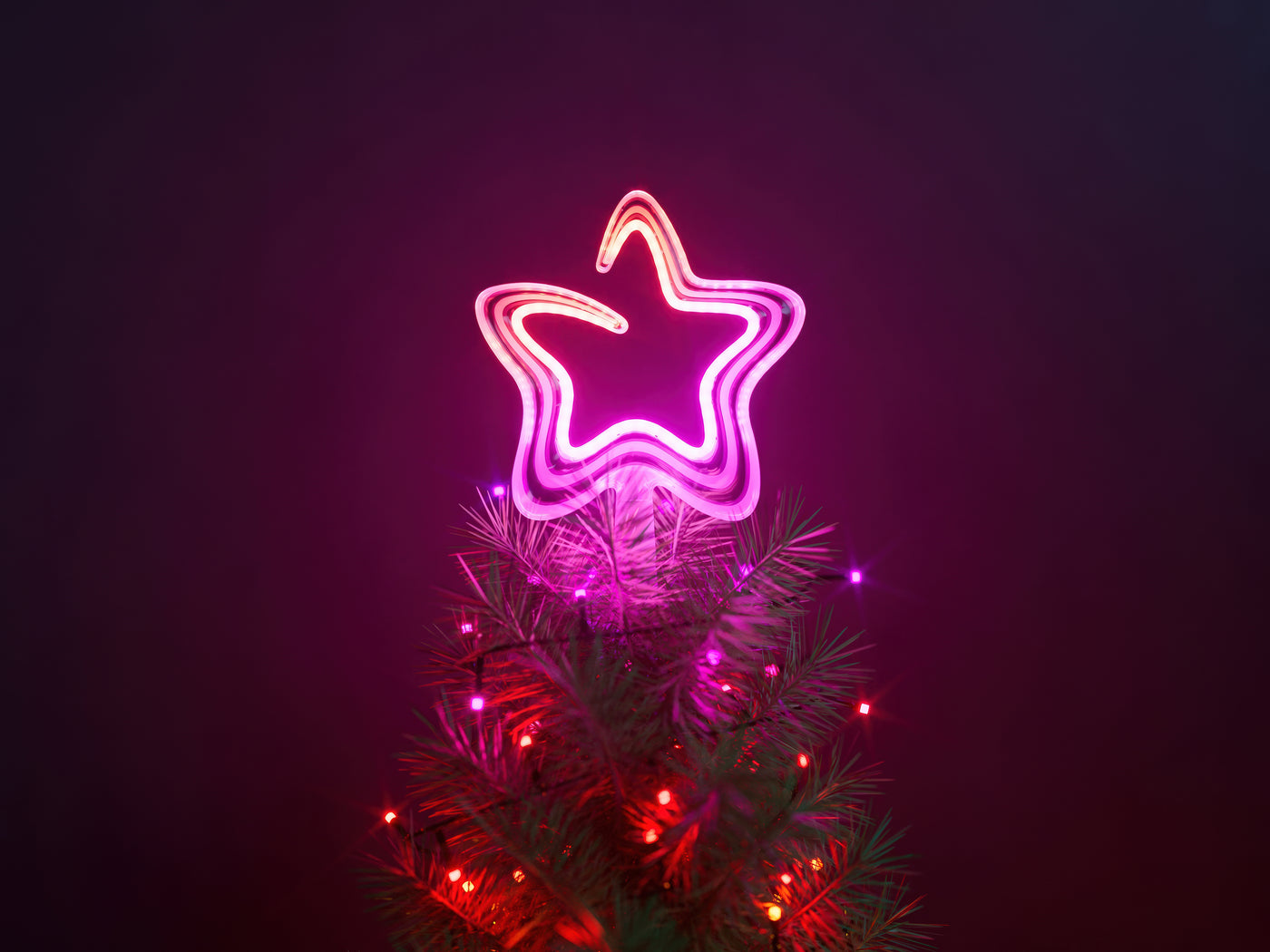Smart LED Tree Topper: Christmas Tree Decoration | Twinkly