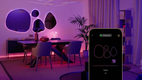 Flex (Multicolor edition)